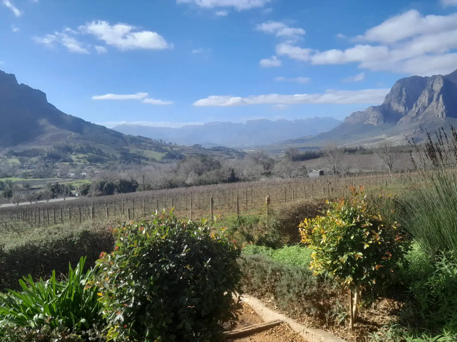 Contact | gocoach.co.za